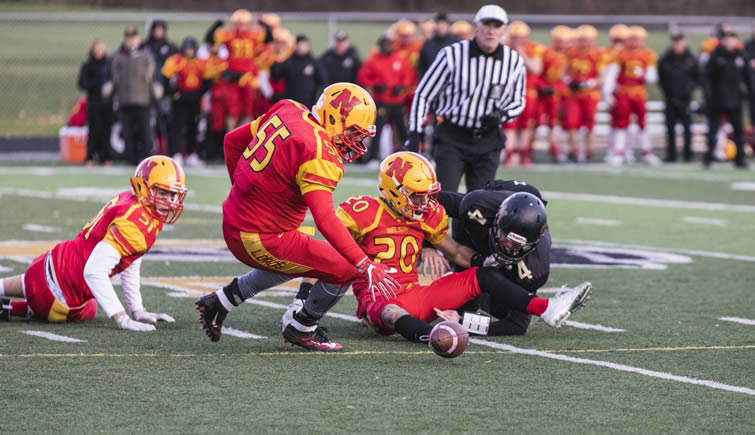 The Official Website of the Nelson Lords