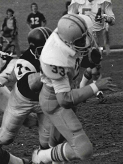 Current Nelson Lords News Stories